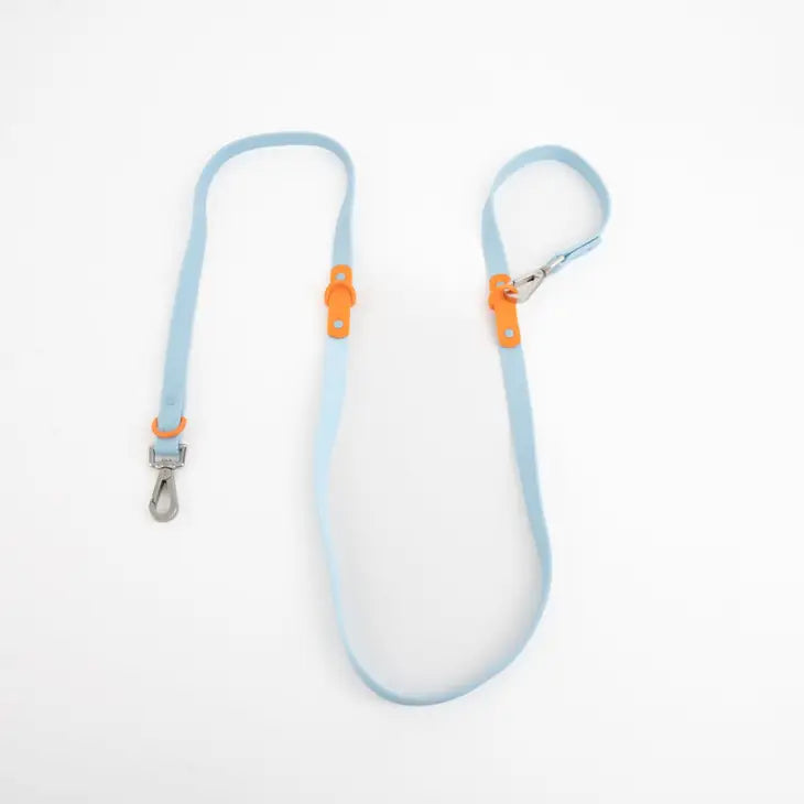 Approved by Fritz - Baby Blue/Orange Leash – Good Boy Collective
