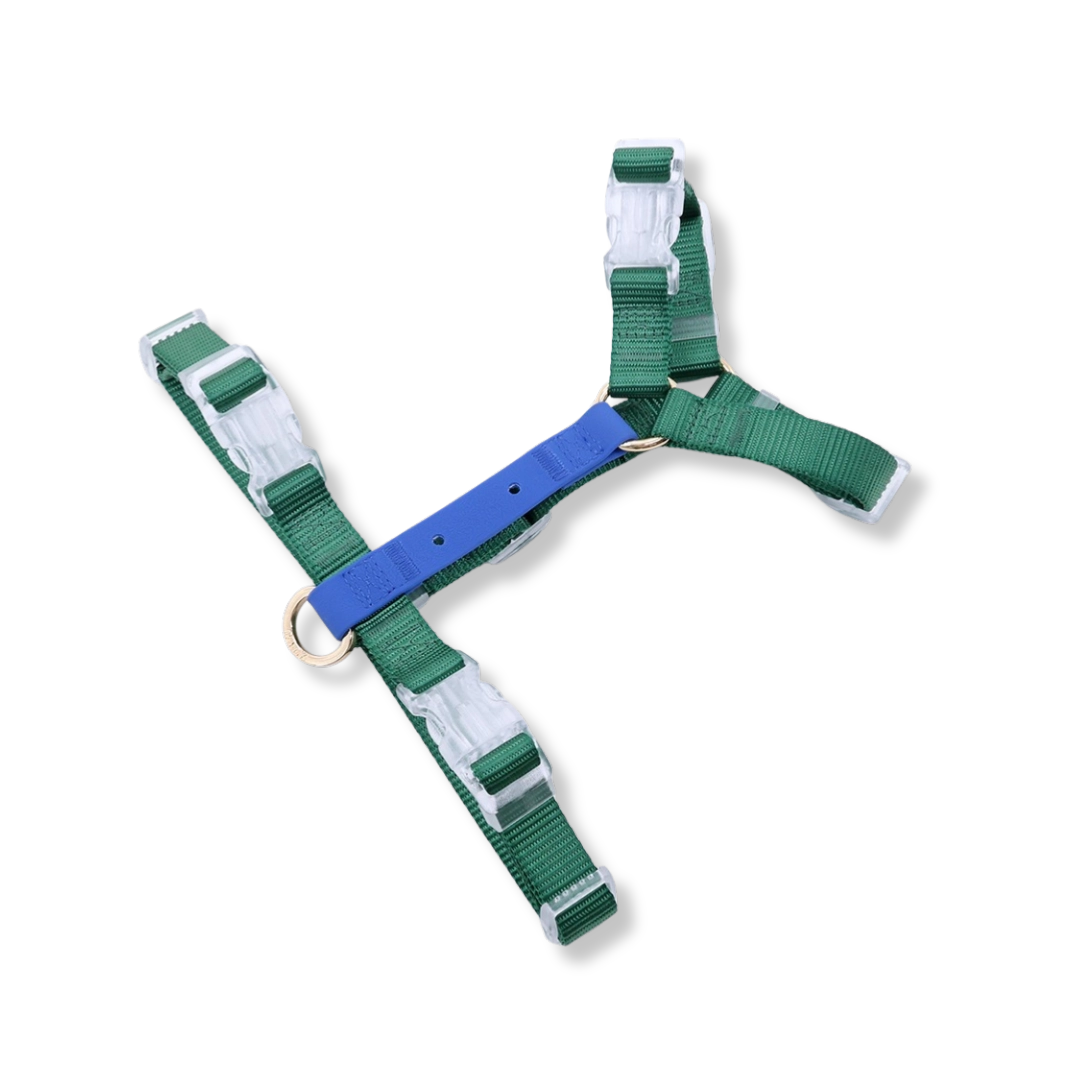 Furei MOODIES Harness - Green/Blue – Good Boy Collective
