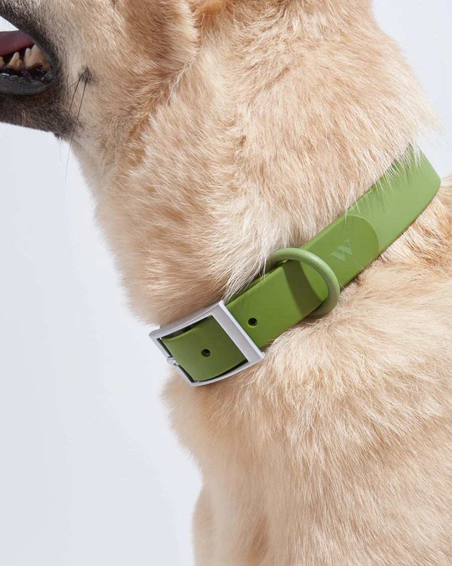 Wild One Collar - Moss – Good Boy Collective