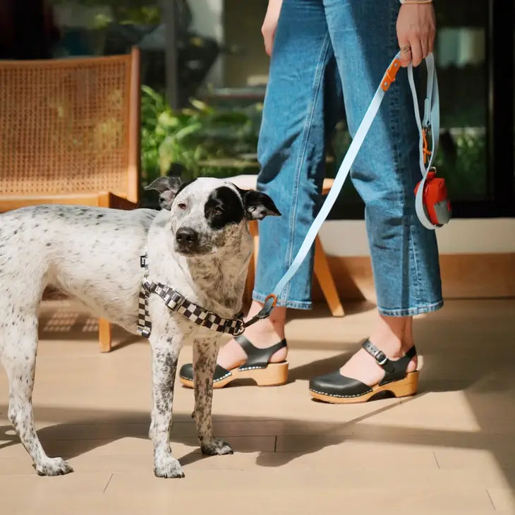 Approved by Fritz - Baby Blue/Orange Leash – Good Boy Collective