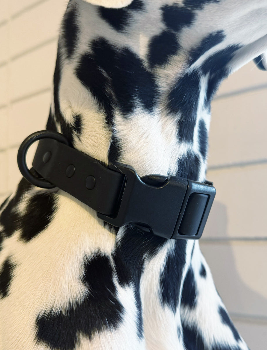 Gb-c Waterproof Quick Release Collar - Black – Good Boy Collective