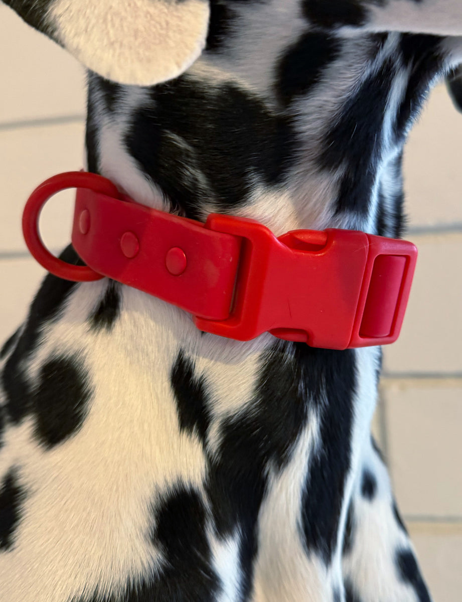 Gb-c Waterproof Quick Release Collar - Chili Red – Good Boy Collective